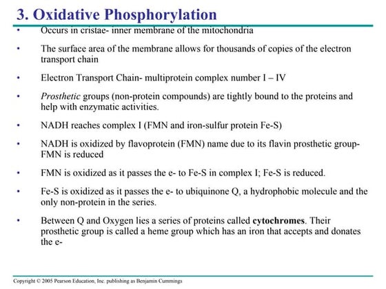 Cell Structure And Function | PPT | Biological Sciences | Science