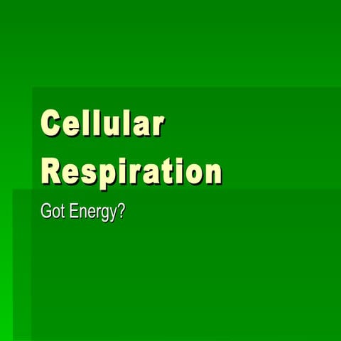 Cellular respiration | PPT