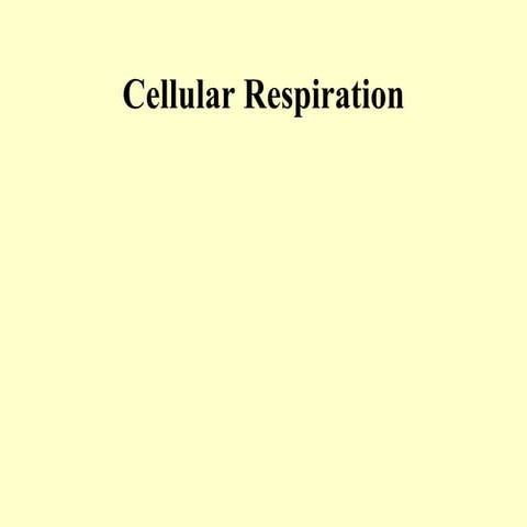 Cellular respiration | PPT