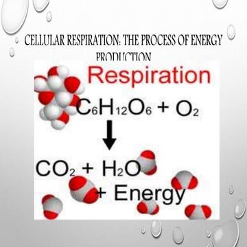 Cellular Respiration Glycolysis, Krebs cycle, Electron Transport | PPTX