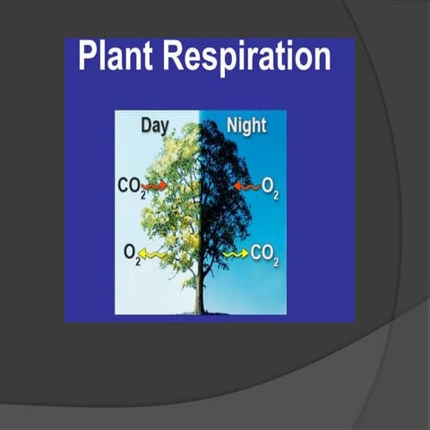 Respiration in higher plants class 11th NCERT bio | PPTX