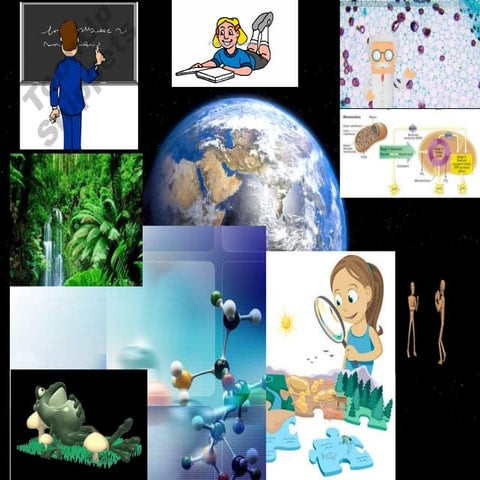 Cellular respiration | PPTX