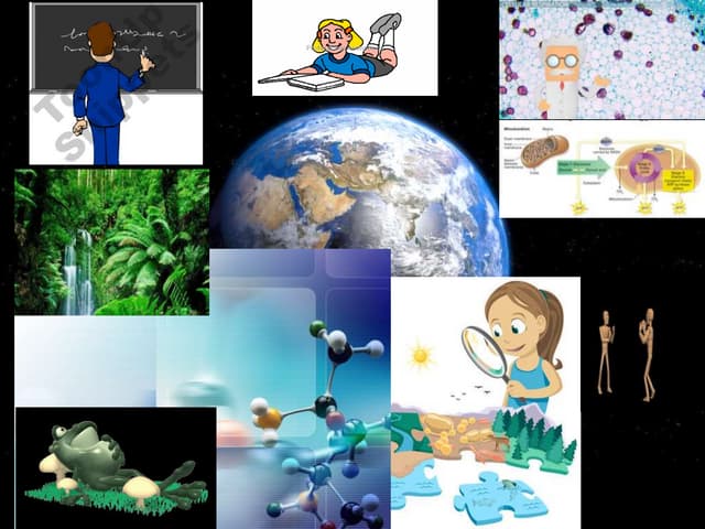 HEAT and TEMPERATURE | PPTX