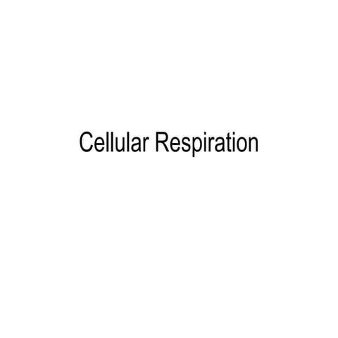 Cellular Respiration | PPTX
