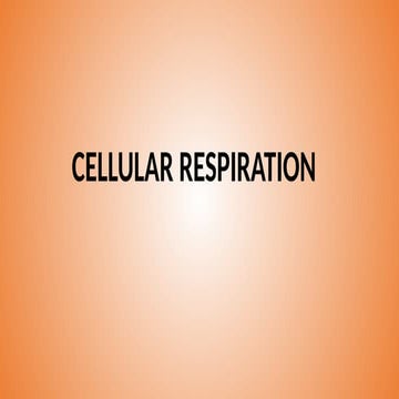 Cellular respiration for High School, Biology | PPTX