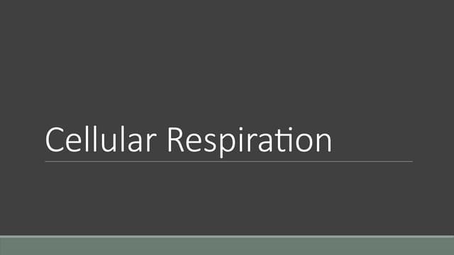 Teaching guide on Cellular respiration | PDF