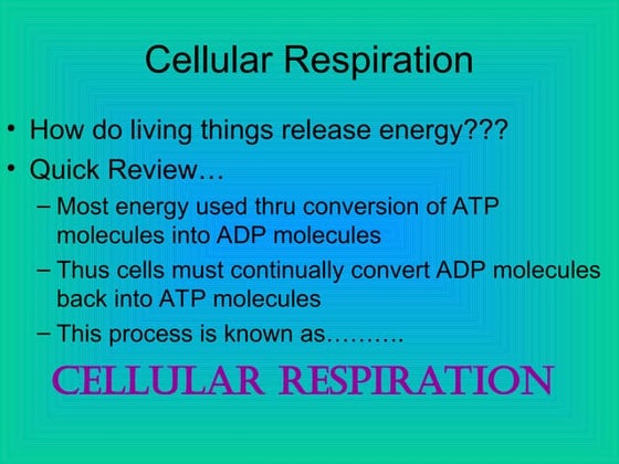 Grade 11 cellular respiration | PPTX