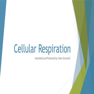 Cellular Respiration notes and Key ideas | PPTX