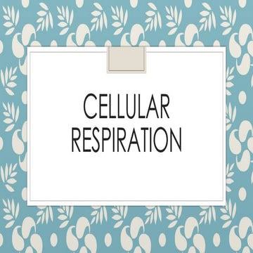Cellular Respiration.ppt