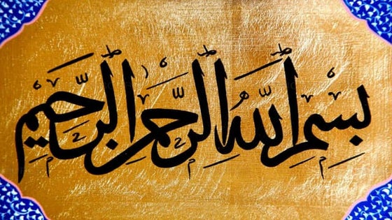 Grade 11 cellular respiration | PPTX