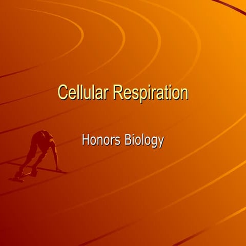 cellular_respiration_2 Biology grade 9.ppt