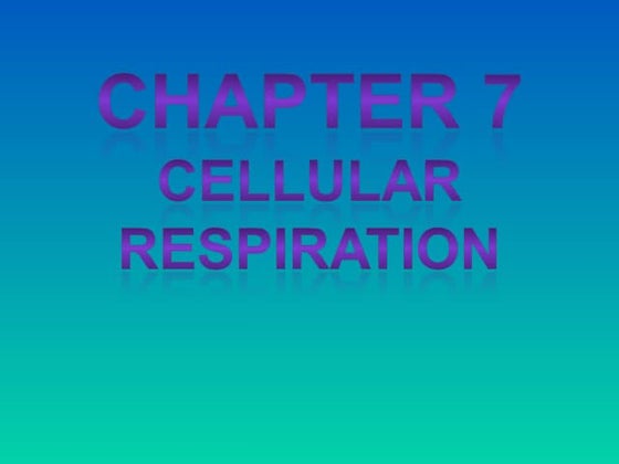 Cellular respiration introduction for 9th grade biology | PPT