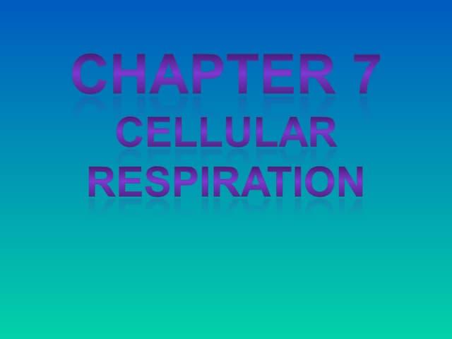 Cellular respiration introduction for 9th grade biology | PPT