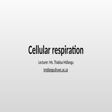 CELLULAR RESPIRATION 2025 biologysc.pptx
