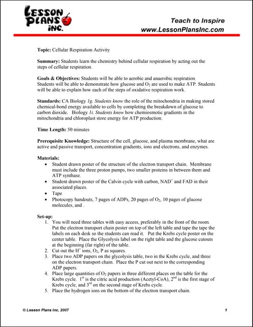 Cellular respiration introduction for 9th grade biology | PPT
