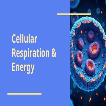 Cellular_Respiration: Glycolysis, Kreb Cycle, ETC | PPT