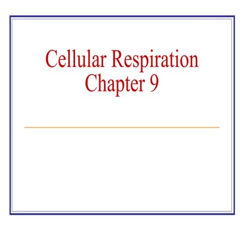 Cellular Respiration PowerPoint for secondary | PPT