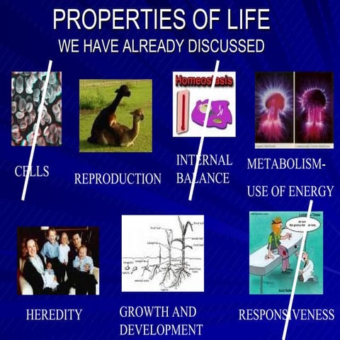 Cellular respiration powerpoint unit 5 continued (revised2006) | PPT