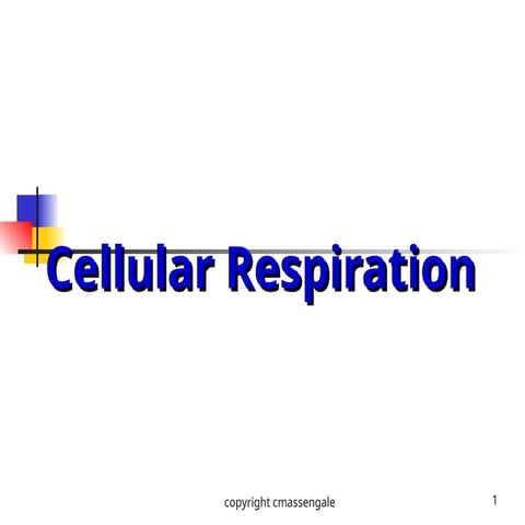 Cellular respiration general biology 1 powerpoint | PPT