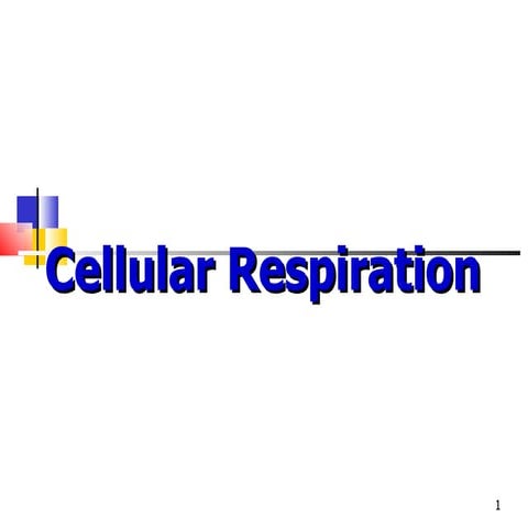 Cellular respiration ppt wit turning pt qs | PPT