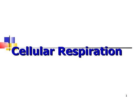 Cellular respiration introduction for 9th grade biology | PPT
