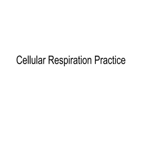 Bio 100 Cellular respiration practice | PPT