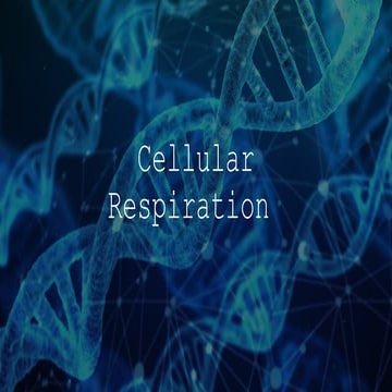 cellular respiration presentation biology .pptx