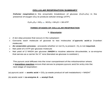 Summary of Cellular respiration | DOCX