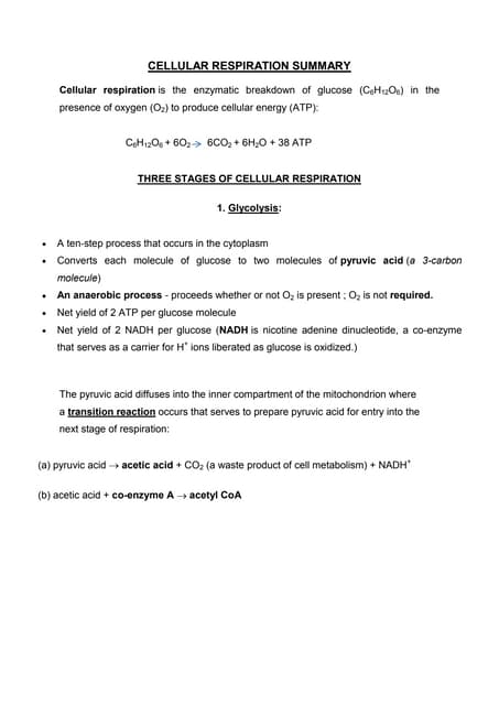 Cellular respiration introduction for 9th grade biology | PPT