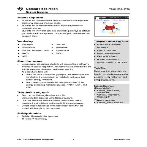 Cellular respiration teacher | PDF | Chemistry | Science
