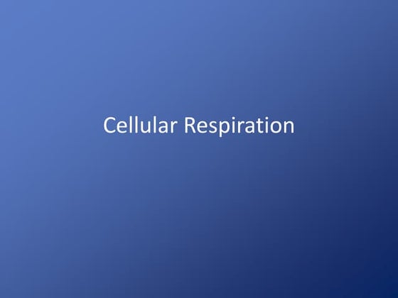 Lesson 4.5 Cellular Respiration in Detailpdf | PDF