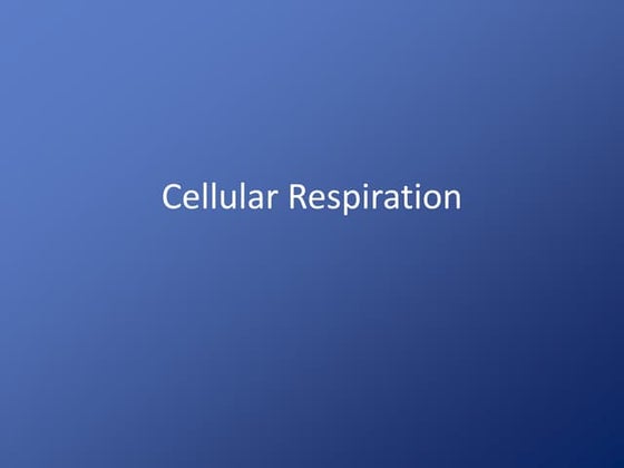 Grade 11 cellular respiration | PPTX
