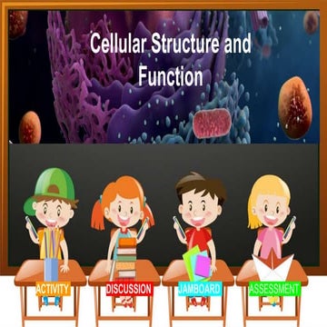 Cellular structure and function | PPT