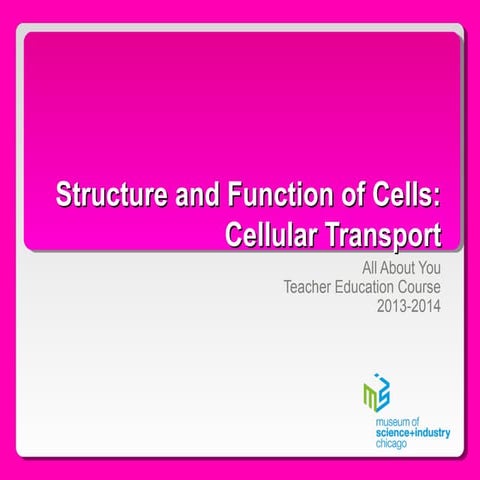 Cellular transport | PPT