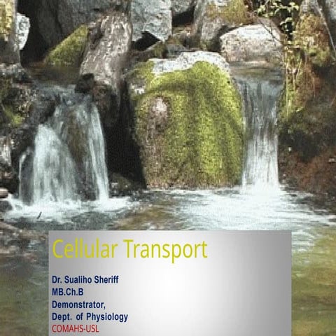 TRANSPORT ACROSS CELL MEMBRANE | PPT