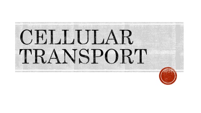 membrane transport.pptx