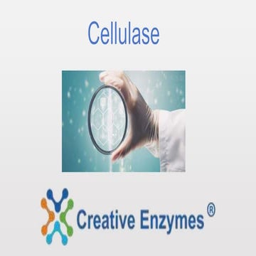 Cellulase | PPTX