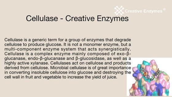 Cellulase | PPTX