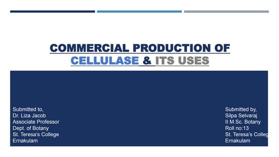 Cellulase (Types, Sources, Mode of Action & Applications) | DOCX ...