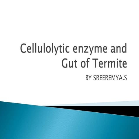 Cellulolytic enzyme and gut of termite | PPTX