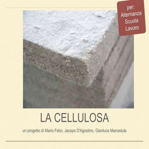 Cellulosa (1) | PPTX