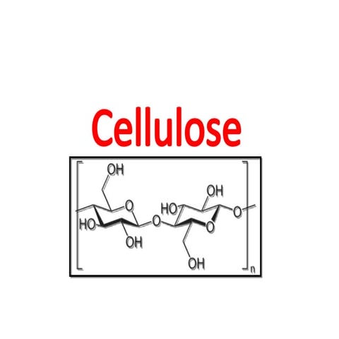 Cellulose structure and function.....ppt