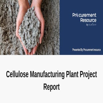 Cellulose Manufacturing Plant Project Report | PDF
