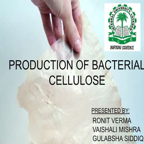 Bacterial Cellulose presentation | PPTX