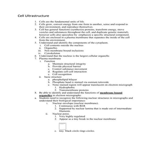 Cell Ultrastructure | DOCX | Biological Sciences | Science