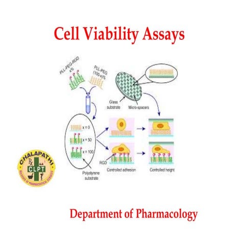 Principles & Applications of cell viability assays (MTT Assays)
