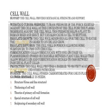 Cell wall | structure composition and Functions | PPTX
