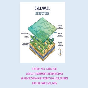 CELL WALL.pptx