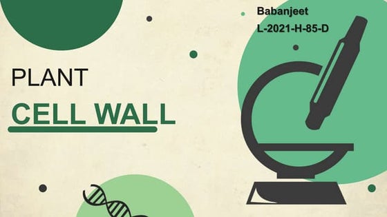 Cell wall structure and function | PPTX | Biological Sciences | Science