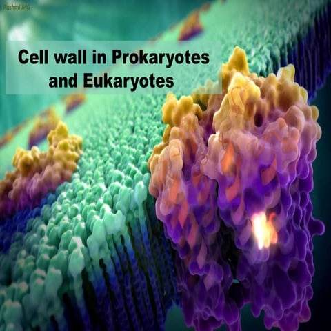 Cell wall of prokaryotic cell and eukaryotic cell.pptx